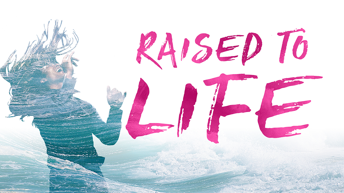 CTK | Christ the King Community Church